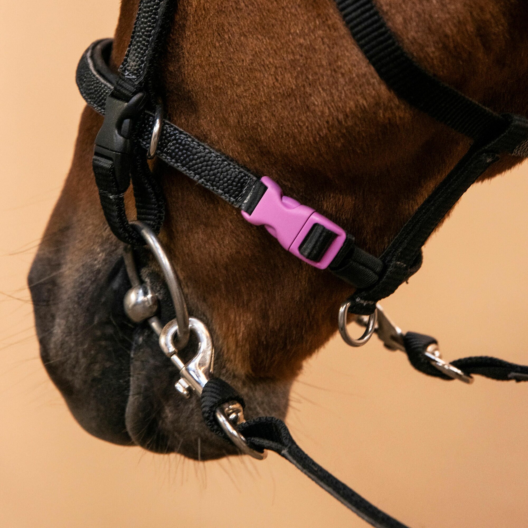 Decathlon Огловье и поводья Fouganza 100 Initiation для лошади и пони, для детей - ШТ