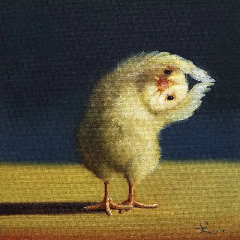 Абстрактный постер с изображением цыпленка на холсте, 8, 20x20cm Unframed