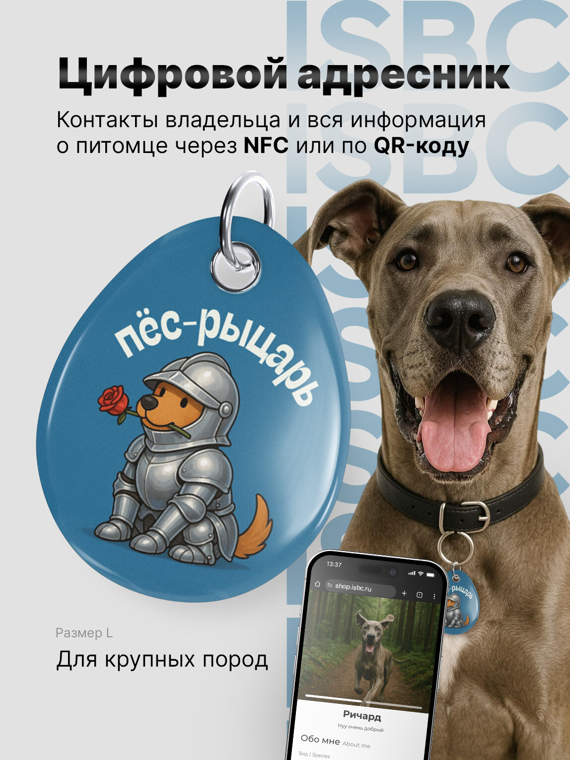 Адресник для собак средних и крупных пород от ISBC с NFC и QR-кодом, Рыцарь