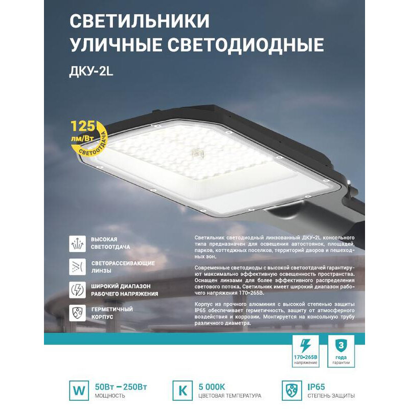 Светильник уличный линзованный светодиодный ДКУ-2L 175Вт 230В 5000К 21875лм 125лм/Вт 48-70мм IP65, NEOX 4690612057316 (1 шт.)