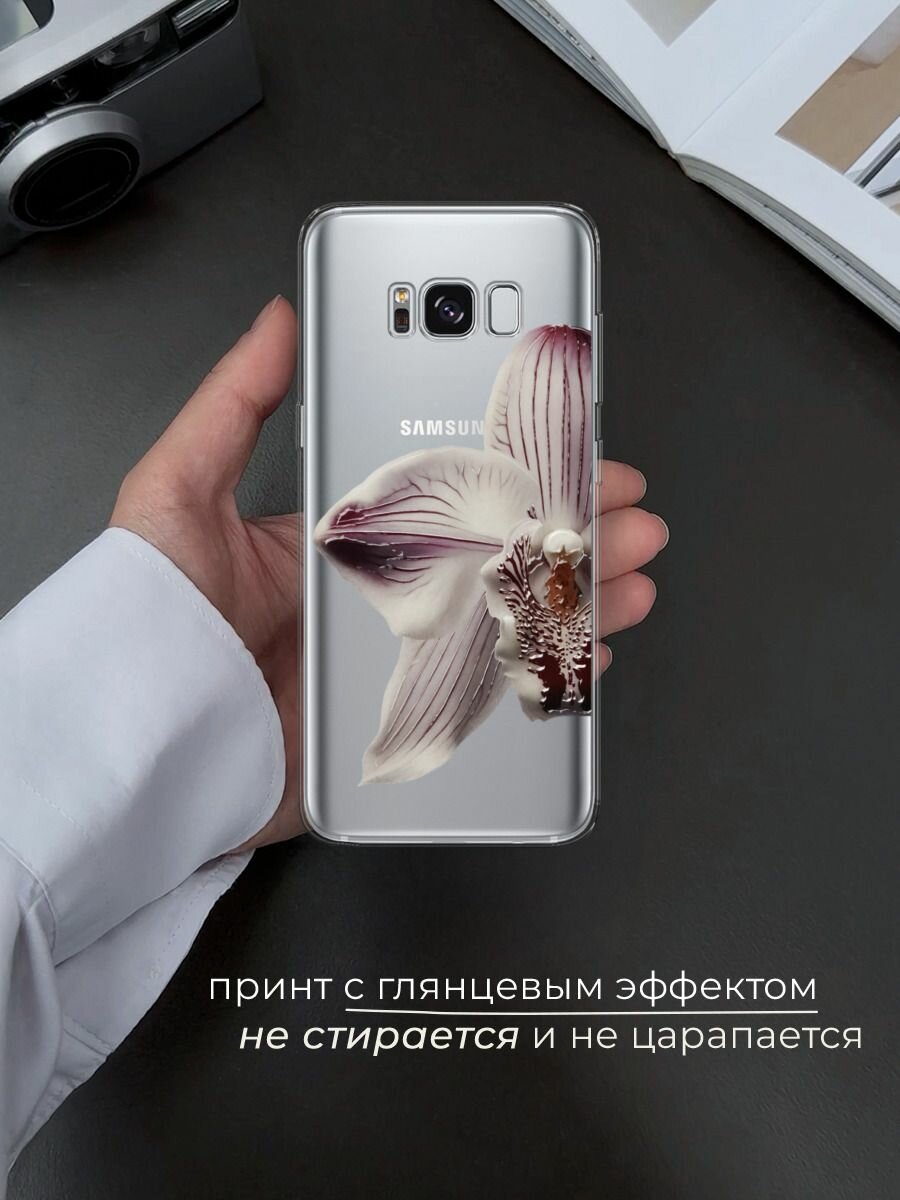 Чехол на Samsung Galaxy S8 / Самсунг Галакси С8 с принтом Белая орхидея — фото 1