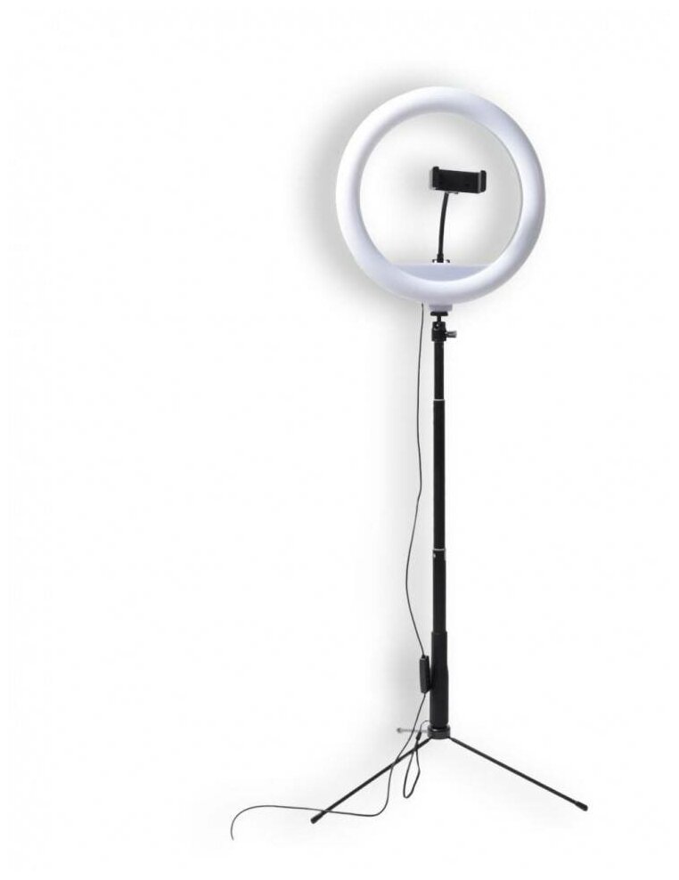 Кольцевой осветитель Fujimi FJL-RING12M для бьюти съёмок, стойка 1000 мм с креплением для смартфона