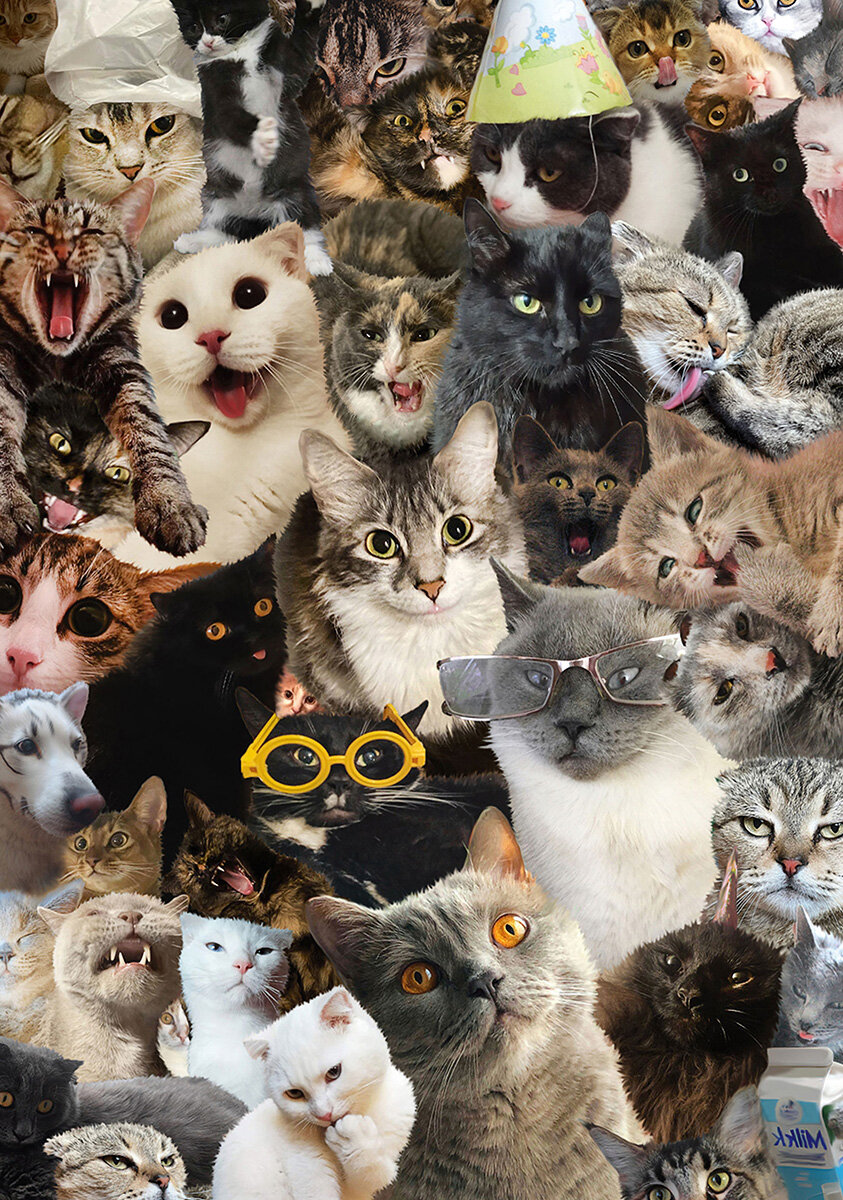 Пазл "фрея" 500 элемент. PZL-500/42 Кошачий беспредел