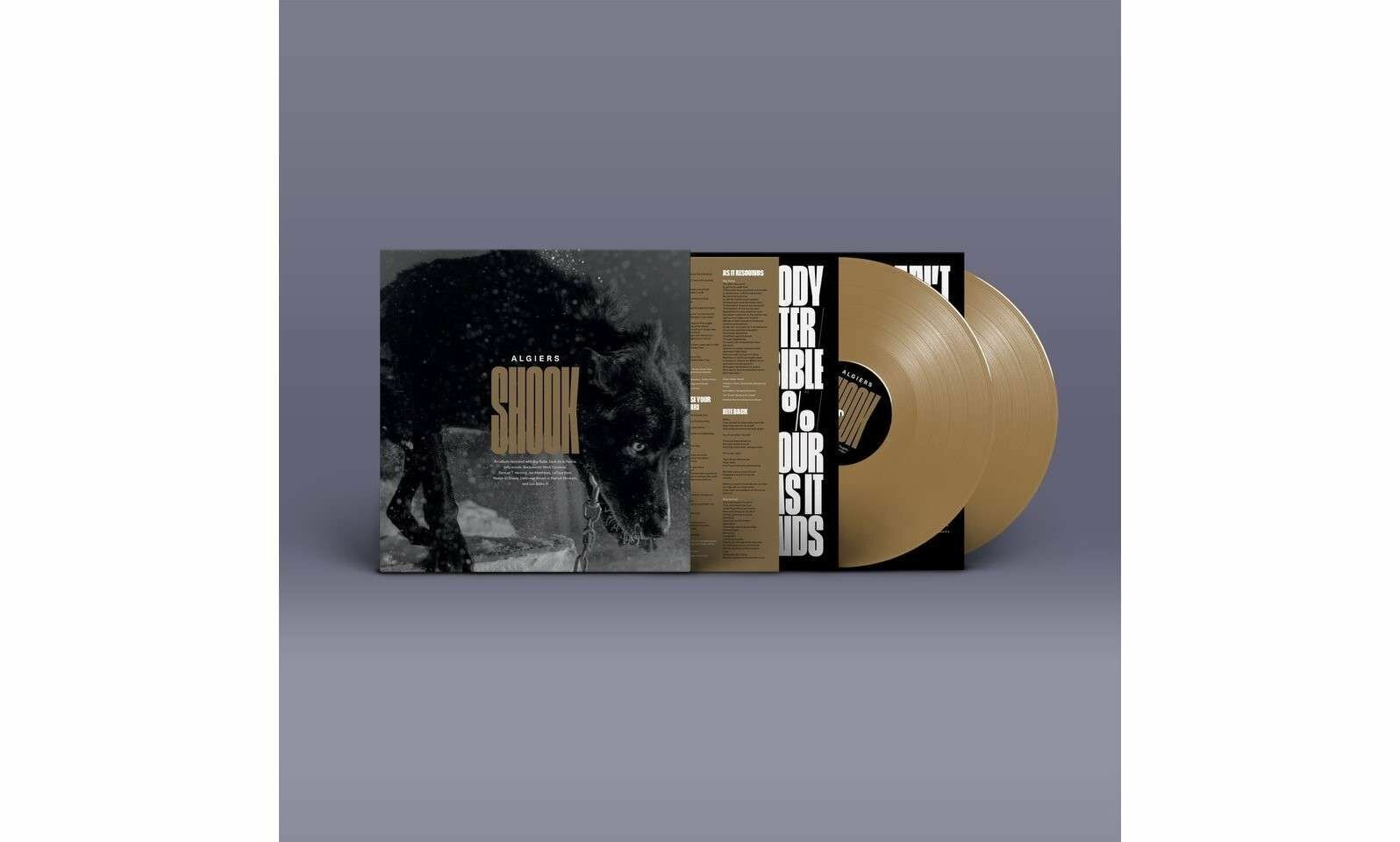 Виниловая пластинка Algiers - Shook (Limited Indie Edition) (Gold Vinyl) (2 LP)