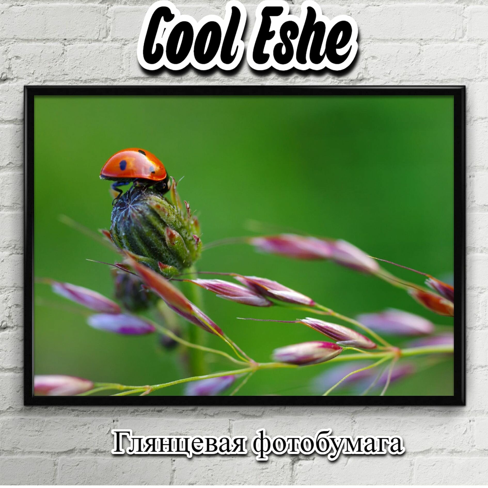 Постер "Жук, божья коровка на травинке, макросъемка" из коллекции "Природа" А3