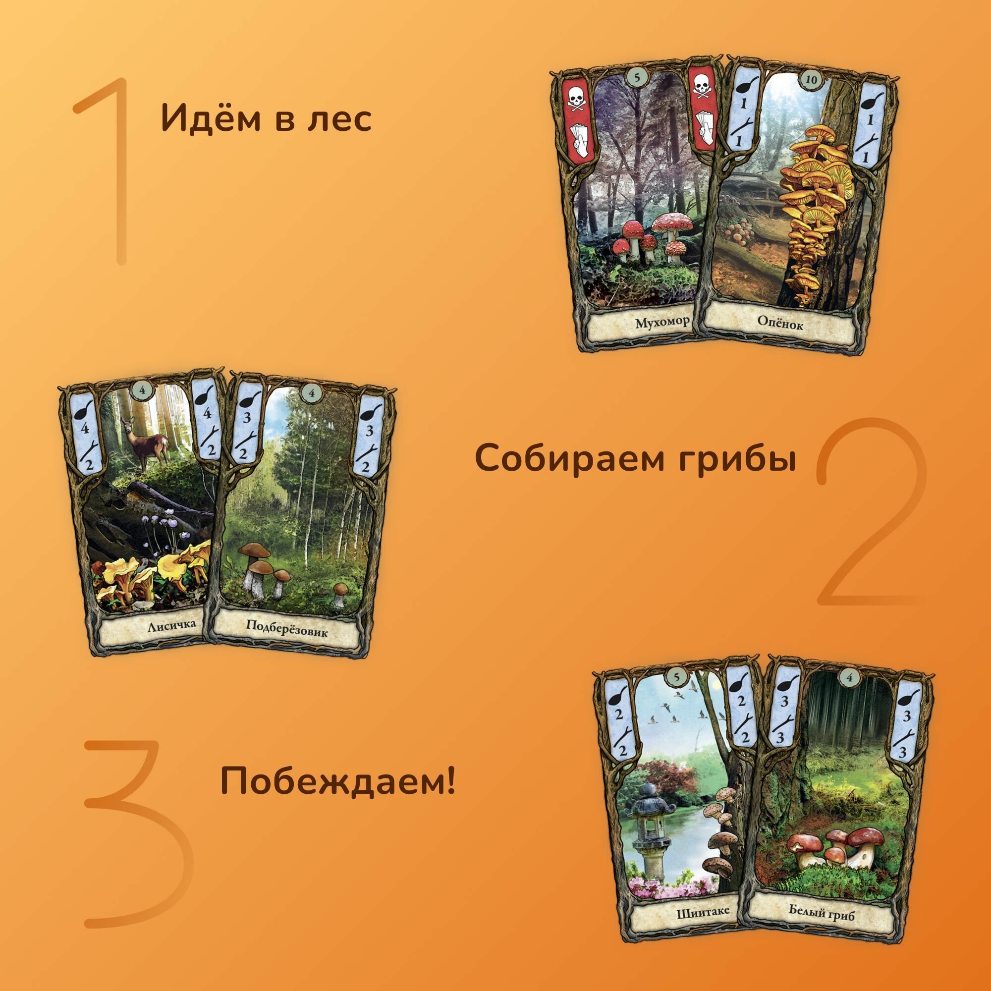 Настольная игра Грибы — фото 1