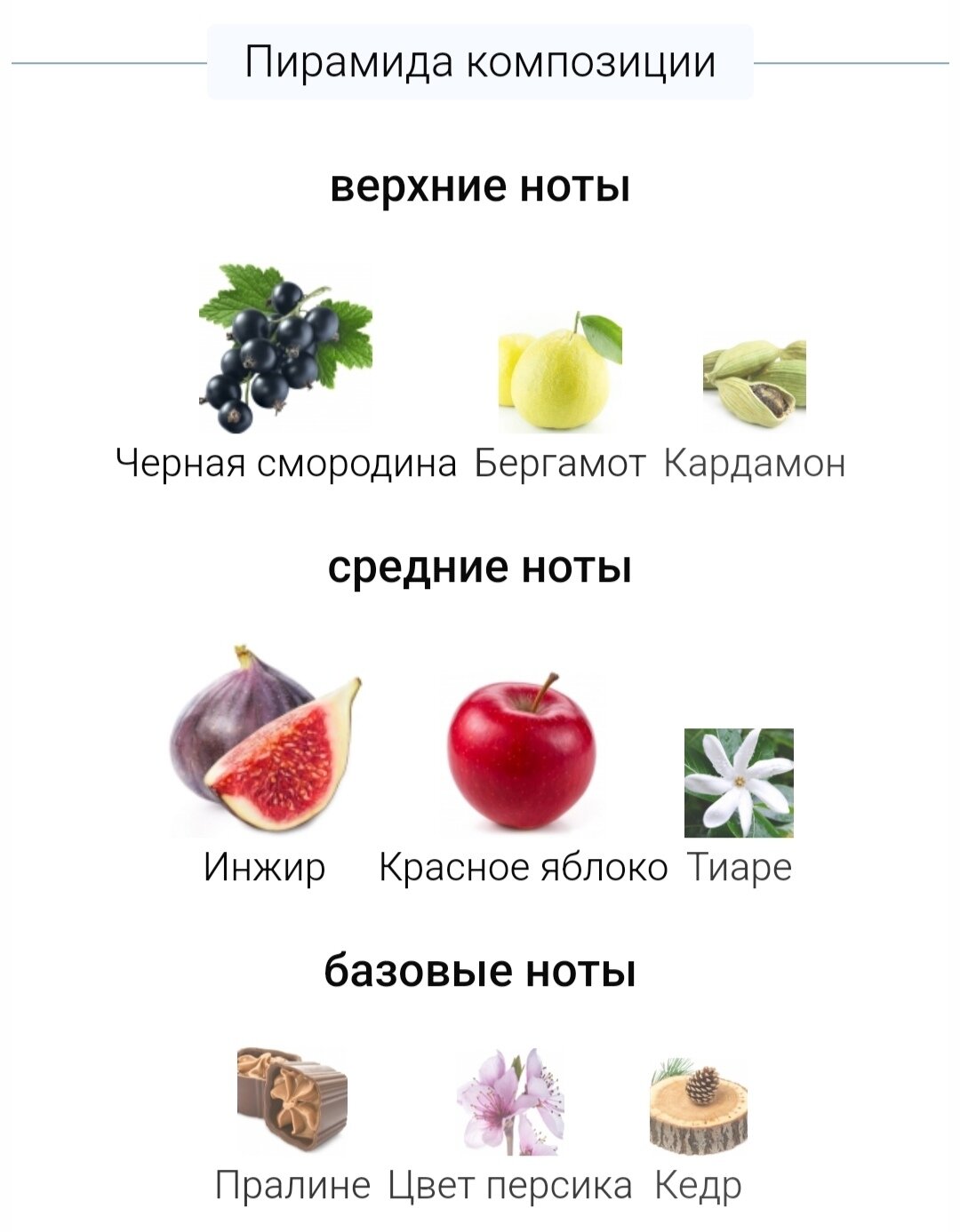 Духи ручной работы по мотивам 'Pulp', для мужчин и женщин Lu Parfume — фото 1
