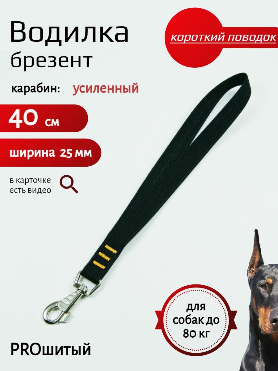 Водилка Хвостатыч для собак с карабином прошитый брезент 40 см х 25 мм (черный)