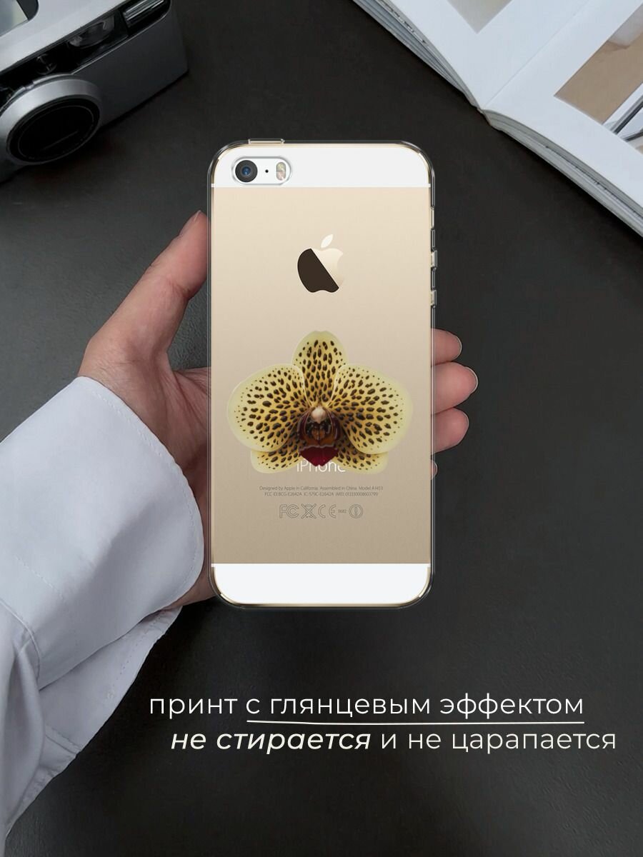 Чехол на Apple iPhone 5/5S/SE / Айфон 5/5S/SE с принтом Желтая орхидея — фото 1