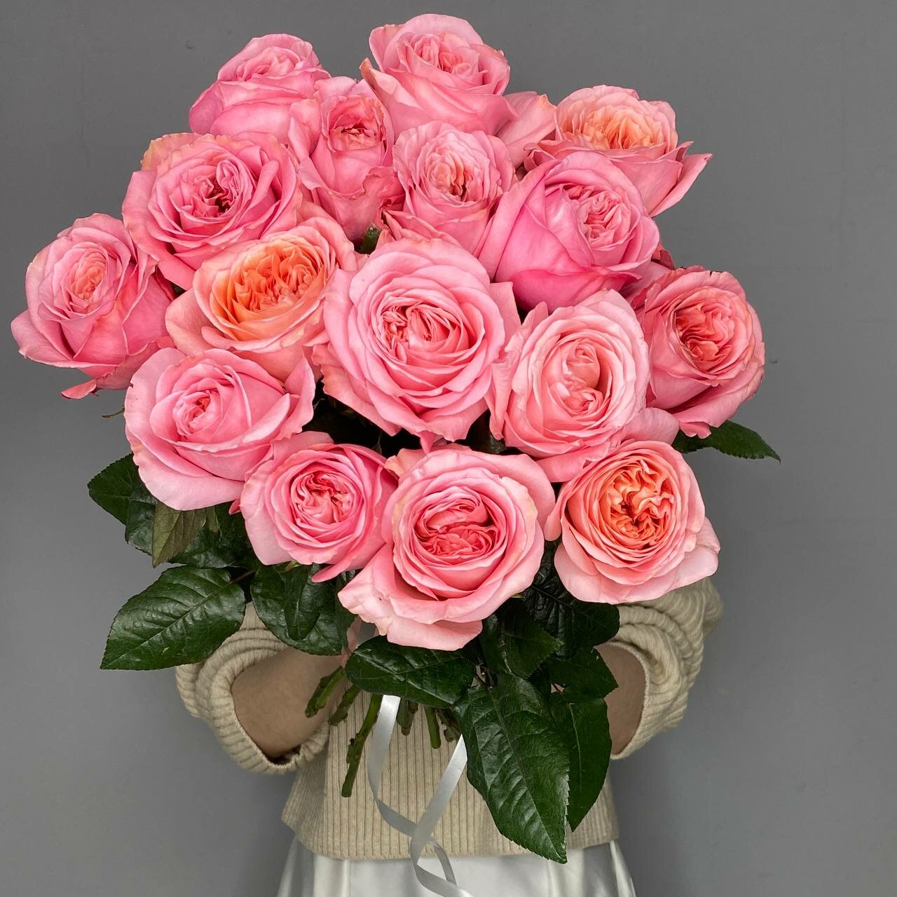 Моно букет , роза Эквадорская , одноголовая , пионовидная , Pink Expression, 60 см, под ленту — фото 1