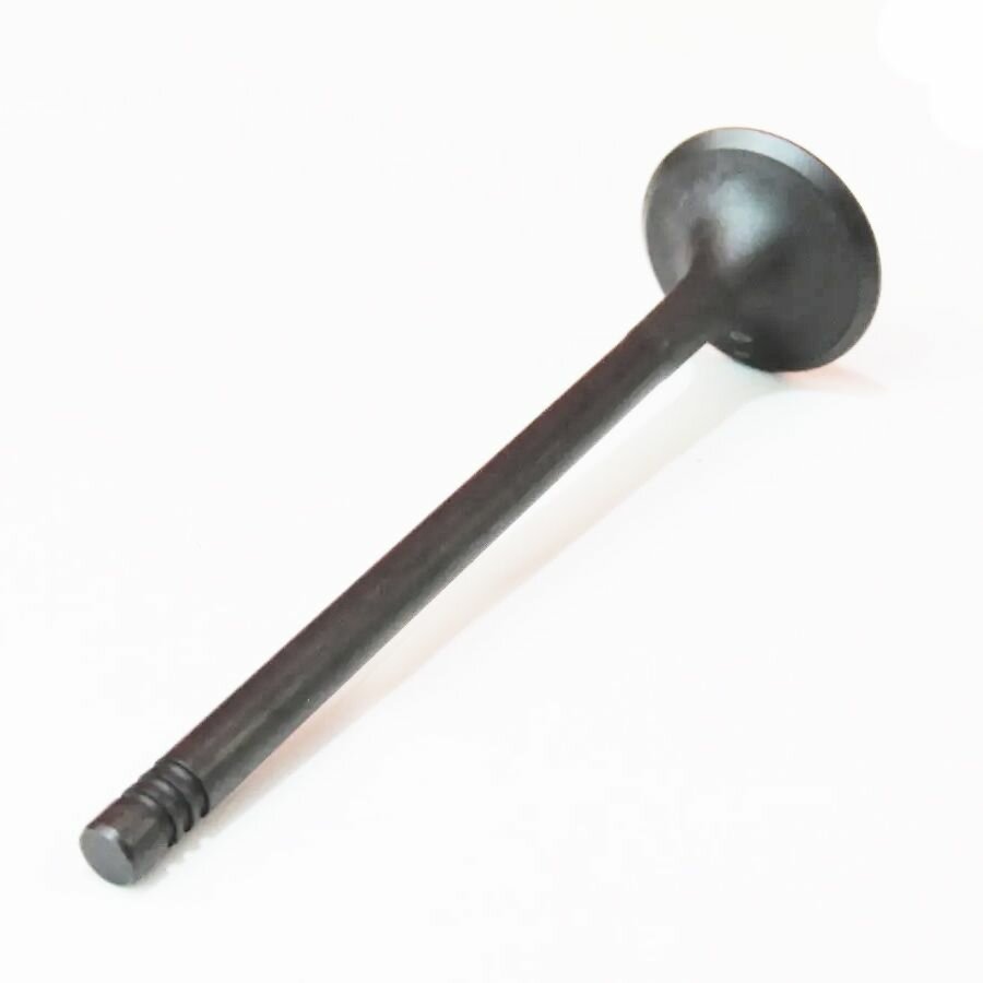 Клапан двигателя впускной 473H-1007011CA для Indis, Kimo, QQ6