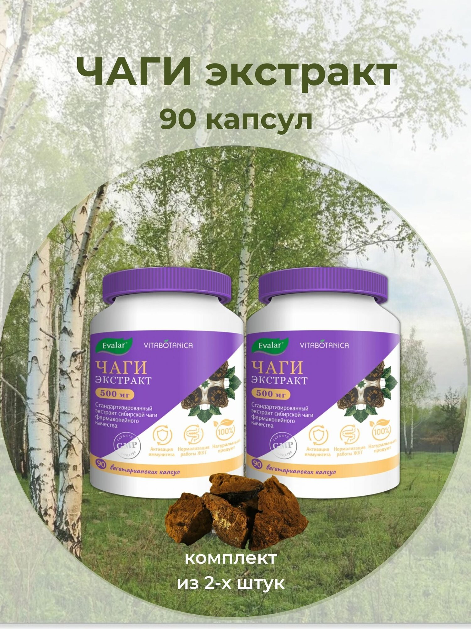 ВитаБотаника Чага экстракт 90 капсул по 0,57г