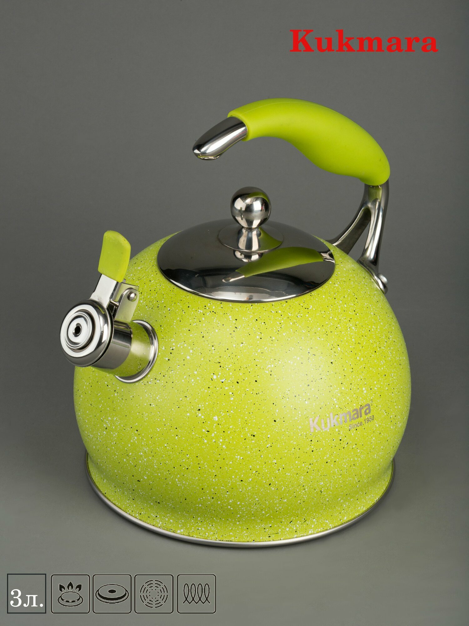 Чайник из нержавеющей стали со свистком 3л LIME