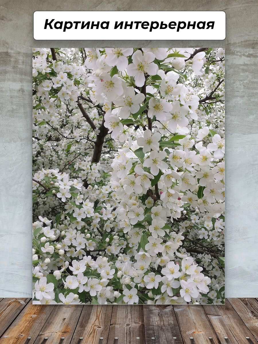 Картины для интерьера 20х30 Сирень весна