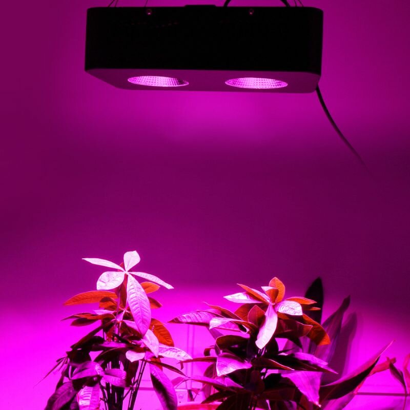Фитосветильник для теплиц и гроубоксов "Fitosvet 500 W". Полного спектра свечения.