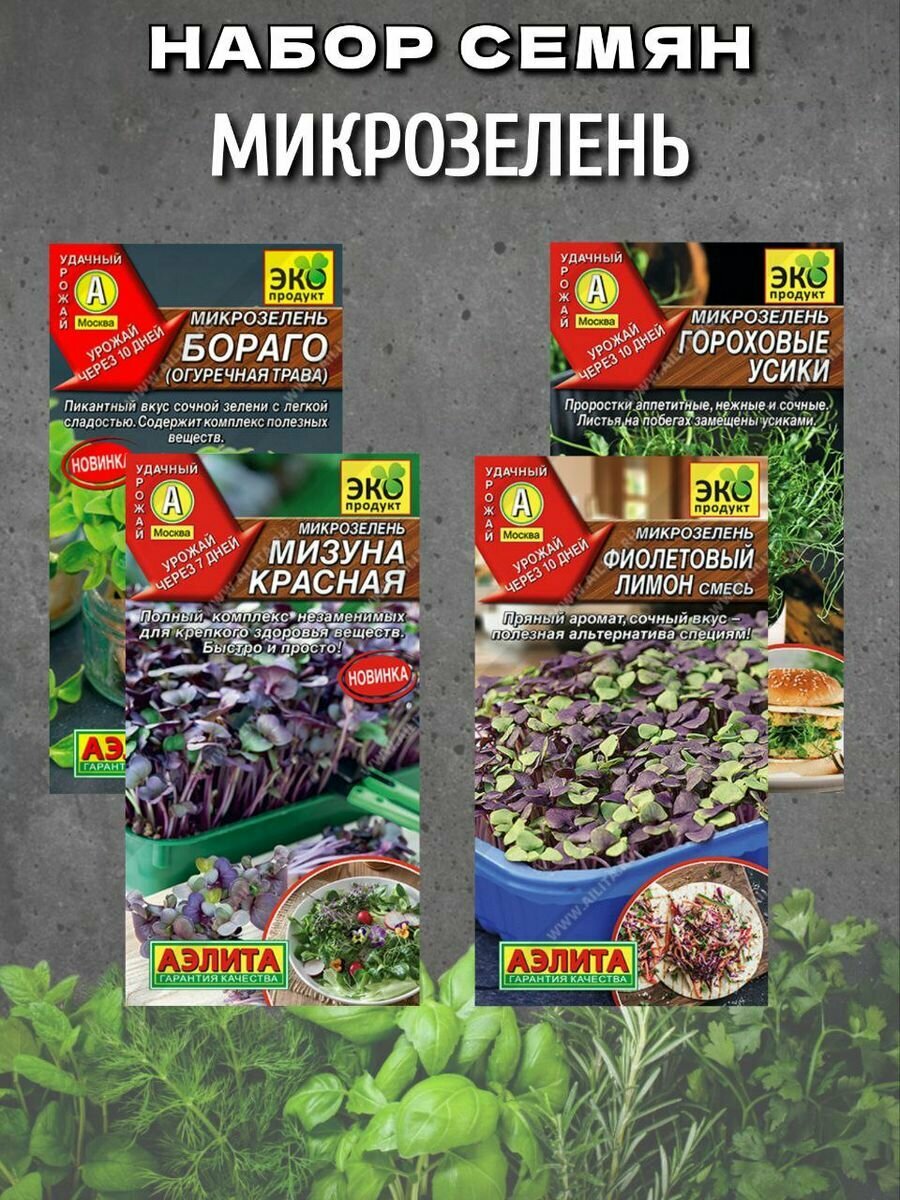 Семена огород на подоконнике Аэлита микрозелень: Бораго, Мизуна, Гороховые усики, Фиолетовый лимон