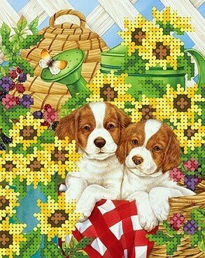 Набор для вышивания Каролинка #кбжн(Ч) 5027 В подсолнухах, Вышивка бисером, 12.5 х 15.8 см