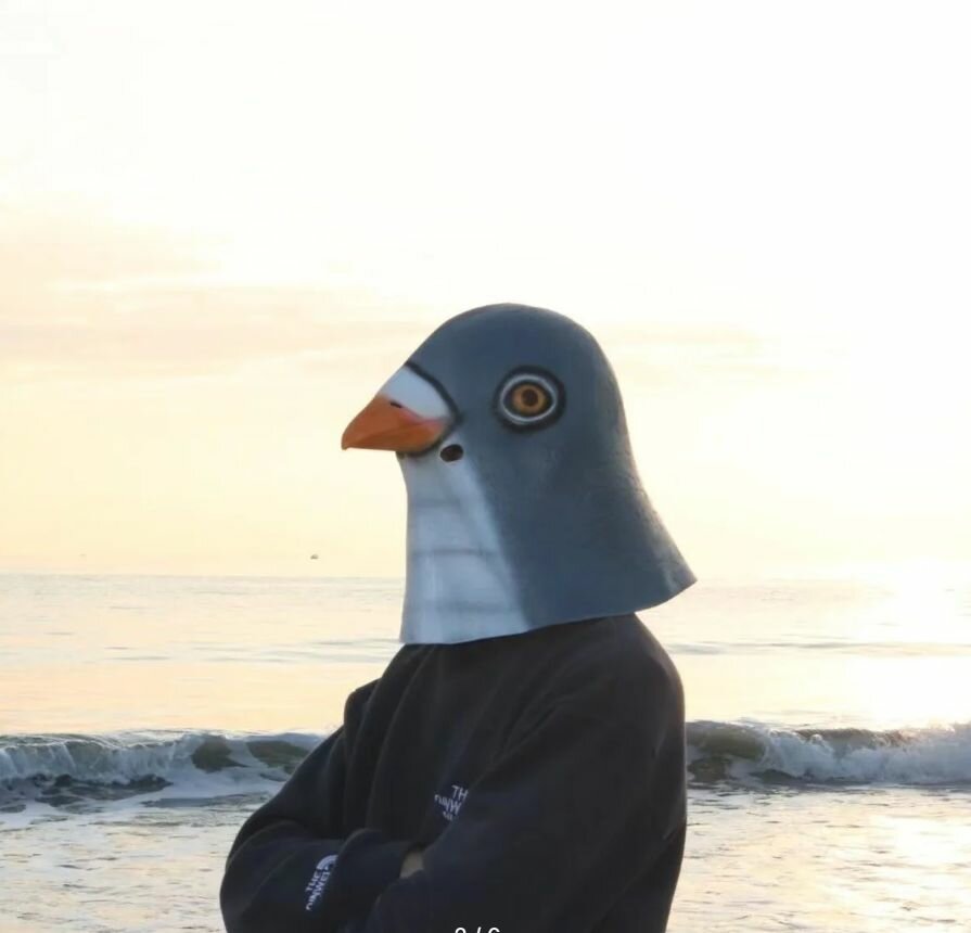 Маска на голову "Голубь" реквизит на Хэллоуин, аксессуар к костюму для вечеринки