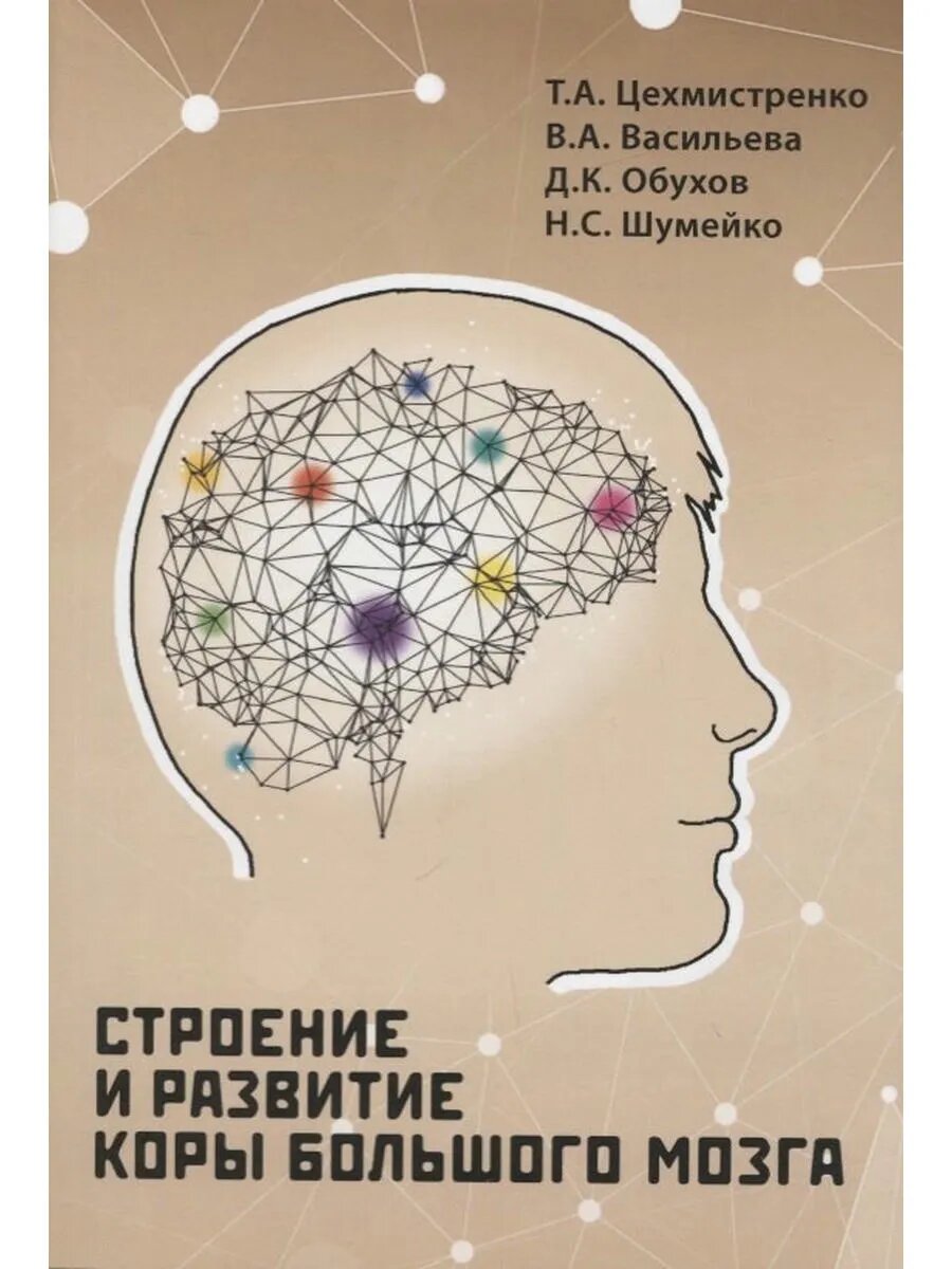 Строение и развитие коры большого мозга