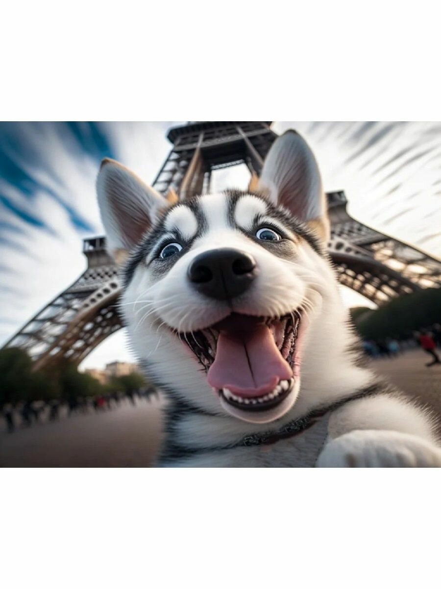 Картина по номерам "Сибирская мини-хаски" 40х50 см, хлопковый холст на подрамнике, акрил, АртТойс