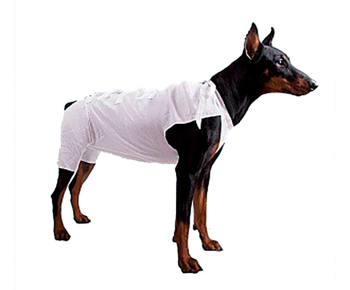 Попона OSSO Fashion послеоперационная р.6 пп-1006