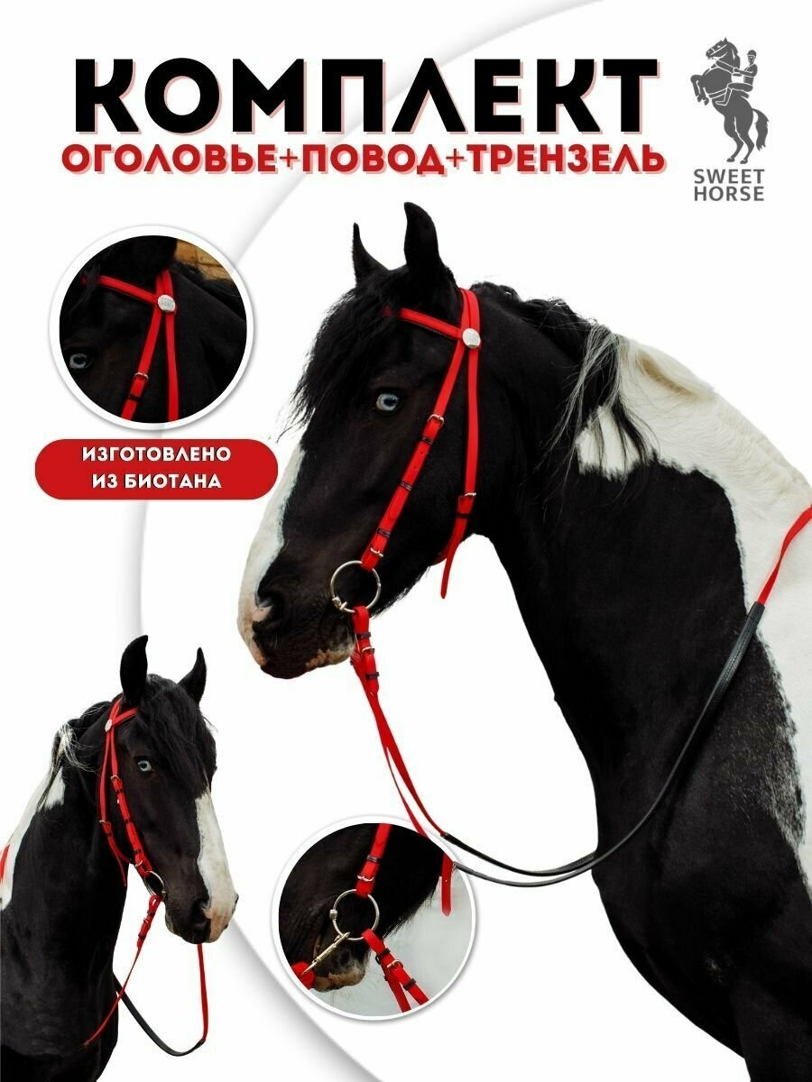 Sweethorse / Комплект - Оголовье+ повод + трензель , красный
