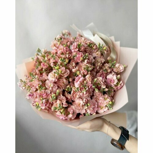 Пышный букет из кустовой маттиолы розового цвета с доставкой до двери