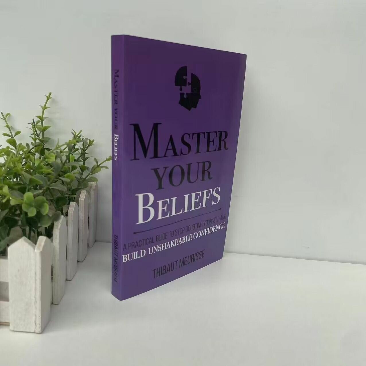 Практическое руководство Master Your Beliefs: как развить уверенность и изменить убеждения для успеха