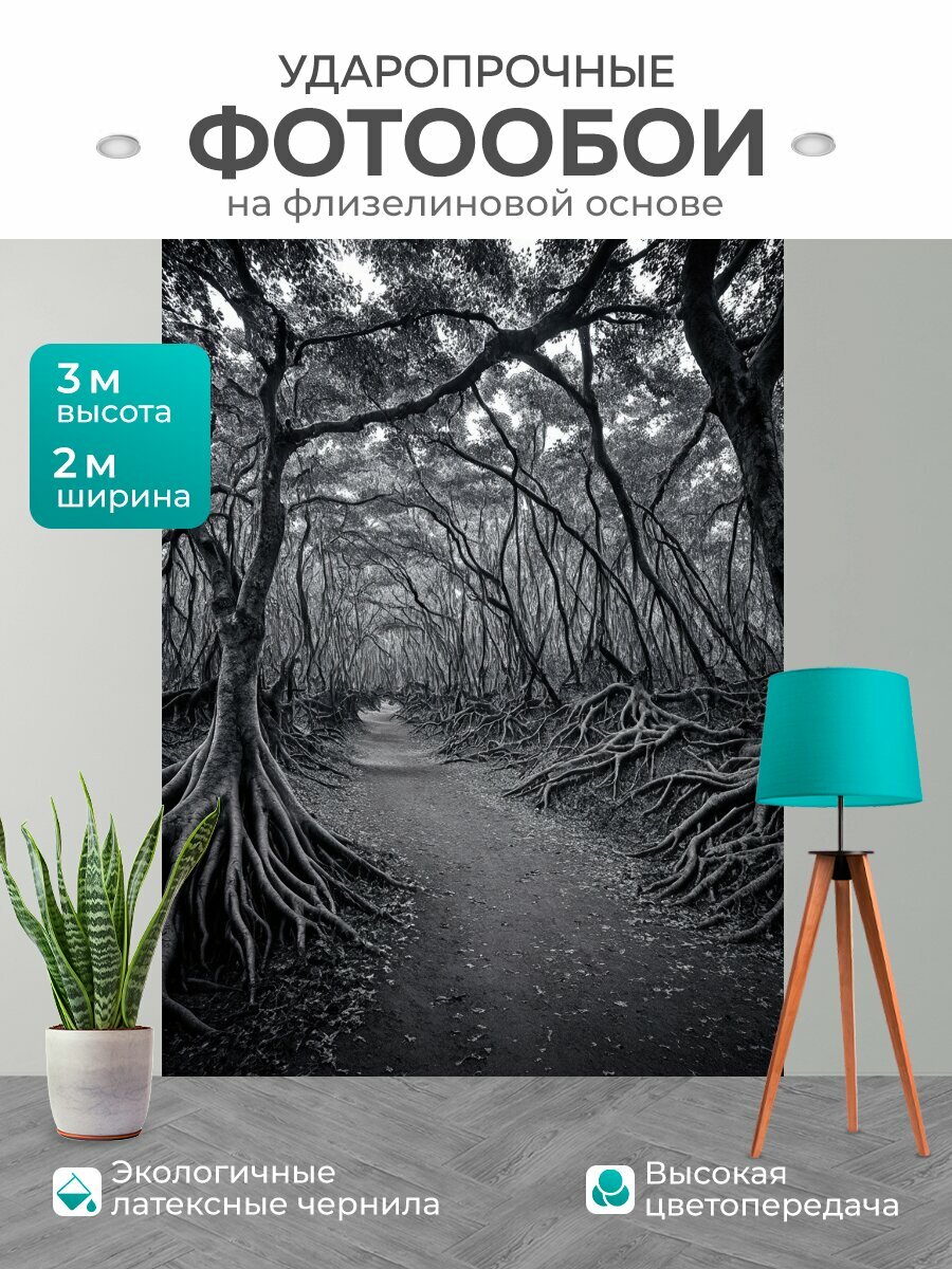 Фотообои моющиеся ударопрочные "Черно-белый: глубокий лес с переплетением корней деревьев и множеством тропинок. атмосфера таинственности и приключений." 200x300 см. флизелиновые на стену