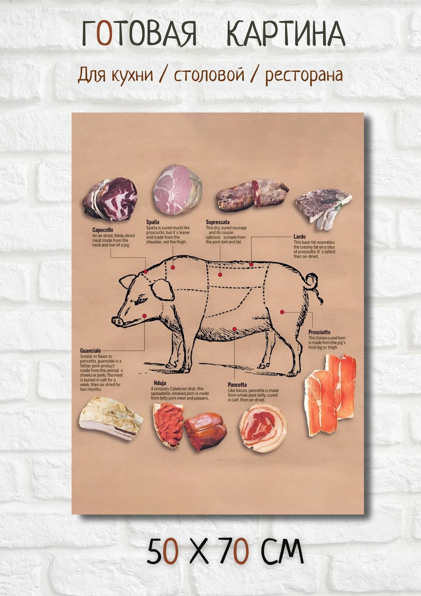 Картина на кухню "Мясная вырезка с обозначениями" 70х50 на холсте