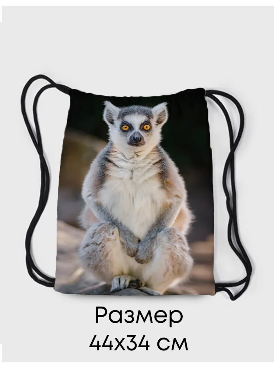 Мешок - сумка для обуви Лемур — фото 1
