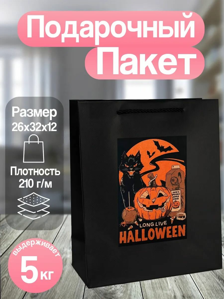 Подарочный пакет большой черный Хэллоуин, упаковка для подарка, 26х31 см