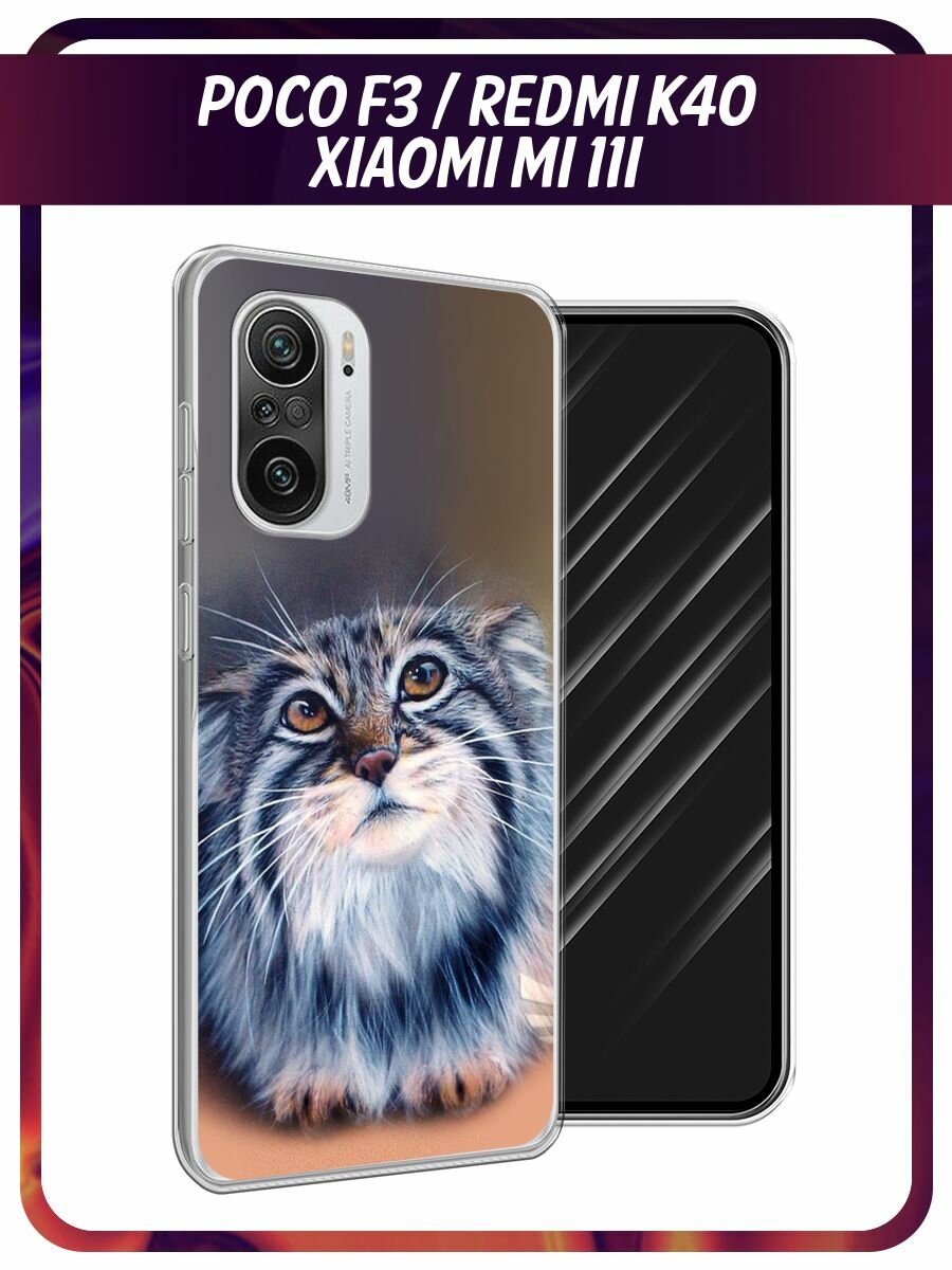 Чехол на Xiaomi Poco F3/Redmi K40/Mi 11i / Поко F3/Редми K40/Ми 11i с принтом "Кот манул 2"