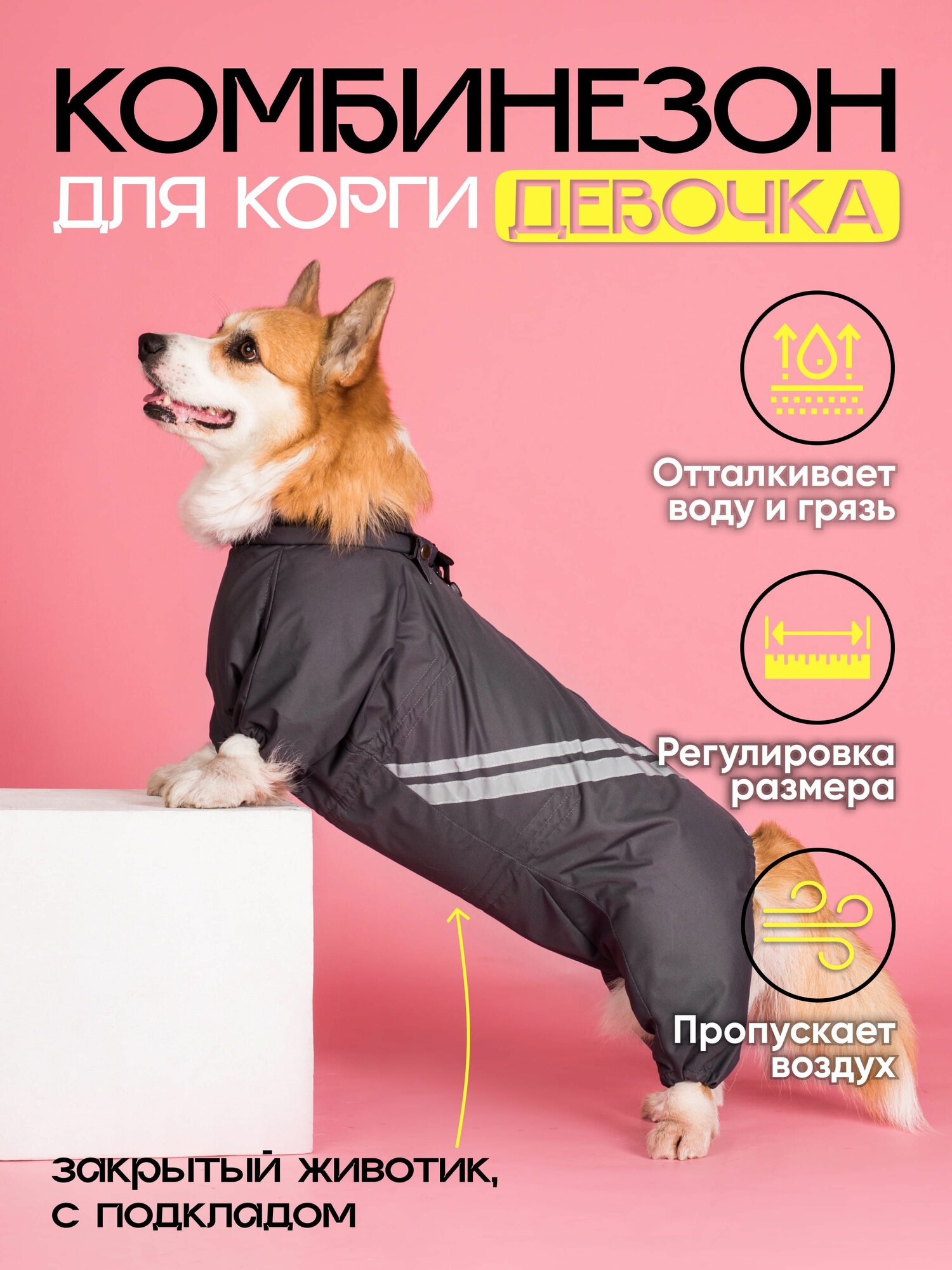 Грязезащитный комбинезон DiploDog для Корги (девочка), Одежда для Корги (девочка)