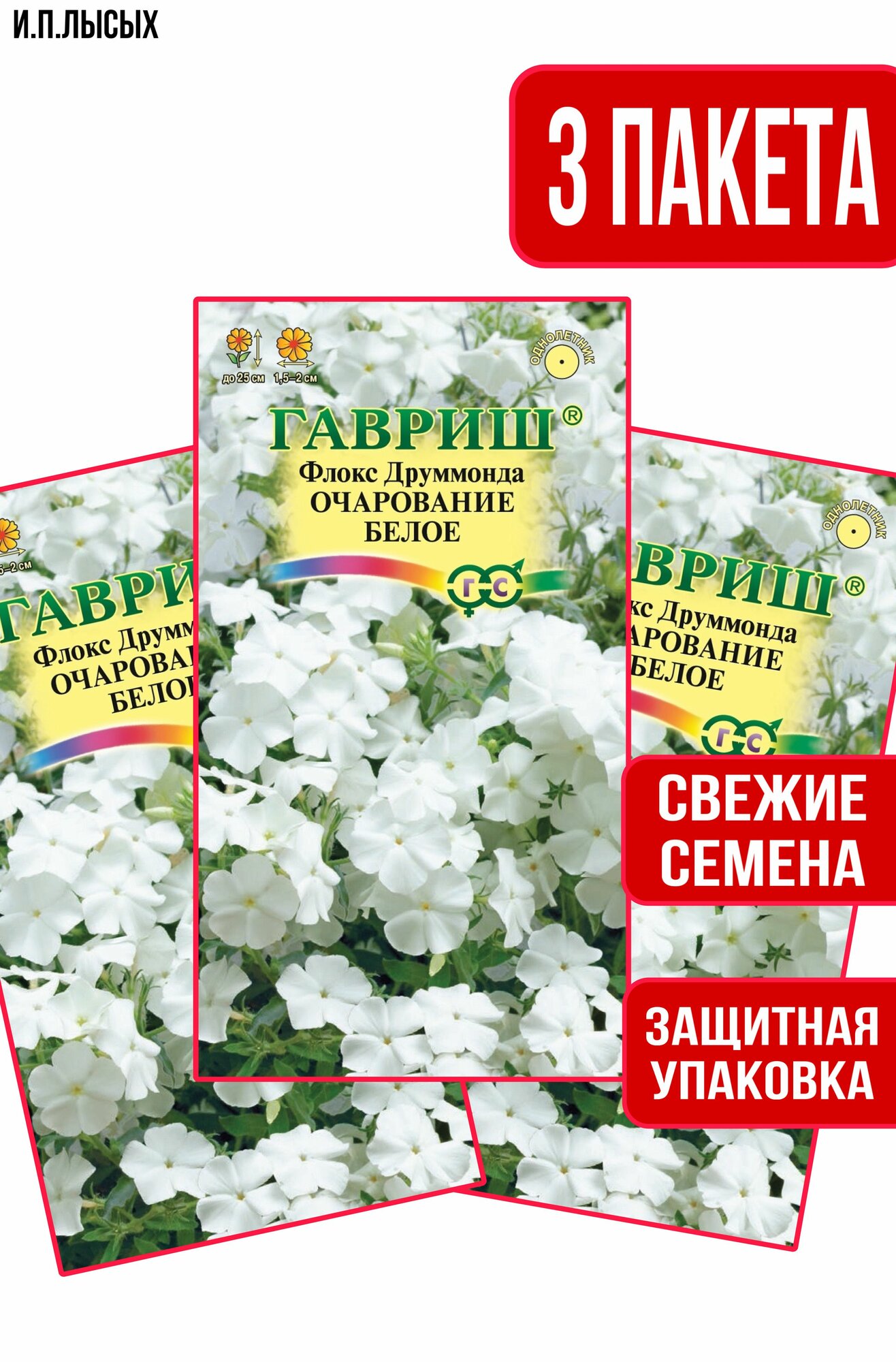 Семена Флокс Очарование белое, Друммонда