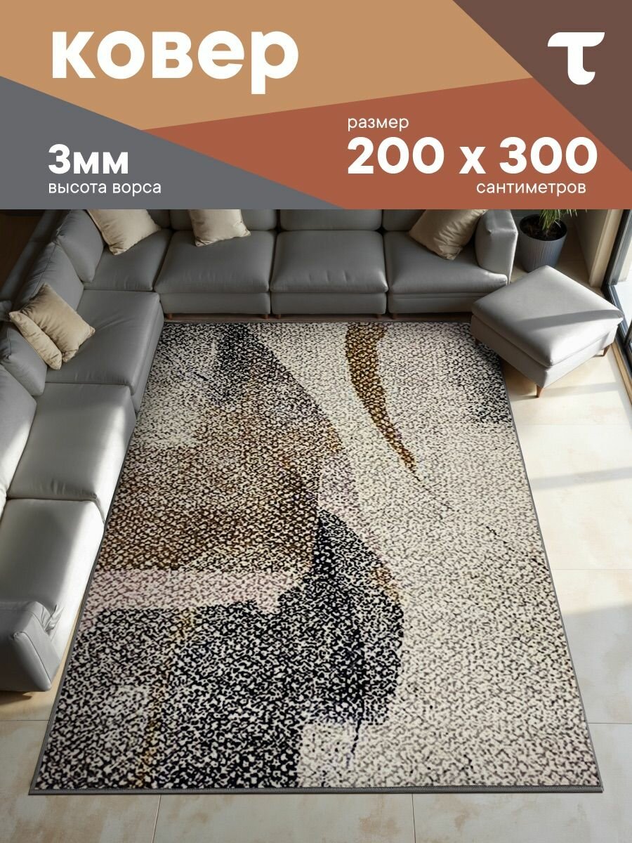 Ковер палас на пол размер: 2,0х3,0 м (200 х 300 см) безворсовый в спальню гостиную на кухню балкон абстракция