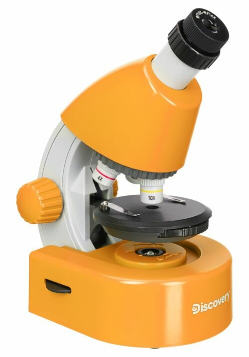 Микроскоп Levenhuk Discovery Micro Solar с книгой