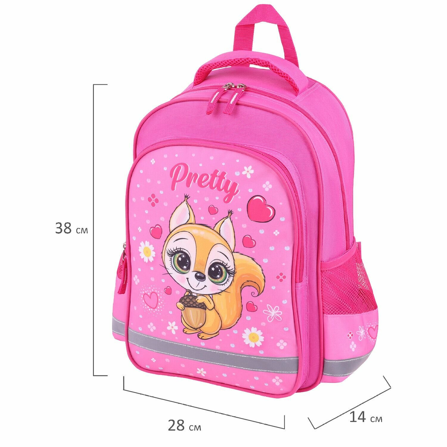 Рюкзак Пифагор School, 1 отделение, 3 кармана, "Squirrel", 38х28х14 см