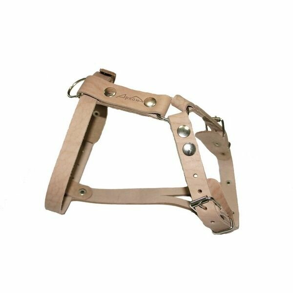 Шлейка для собак Аркон для французских бульдогов, кокер-спаниелей, обхват груди 45-64 см