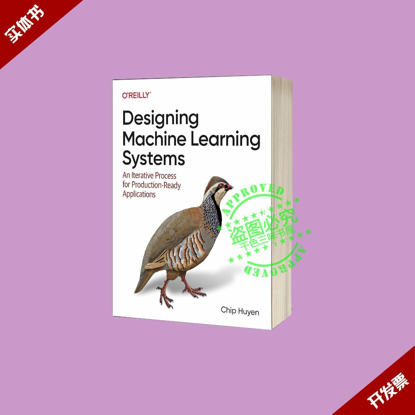 Designing Machine Learning Systems: An Iterative Process for Production-Ready Applications Reprinted books