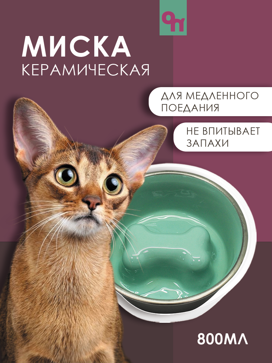 Миска для кошек, "Кость", для собак, для медленного кормления, дорожная, зеленая, 800мл