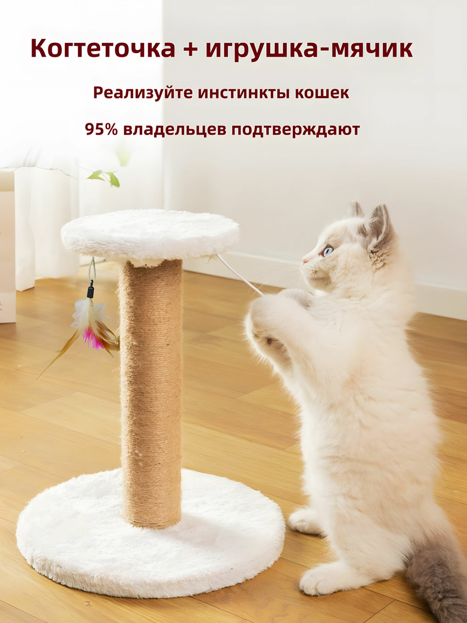 Когтеточка — фото 1