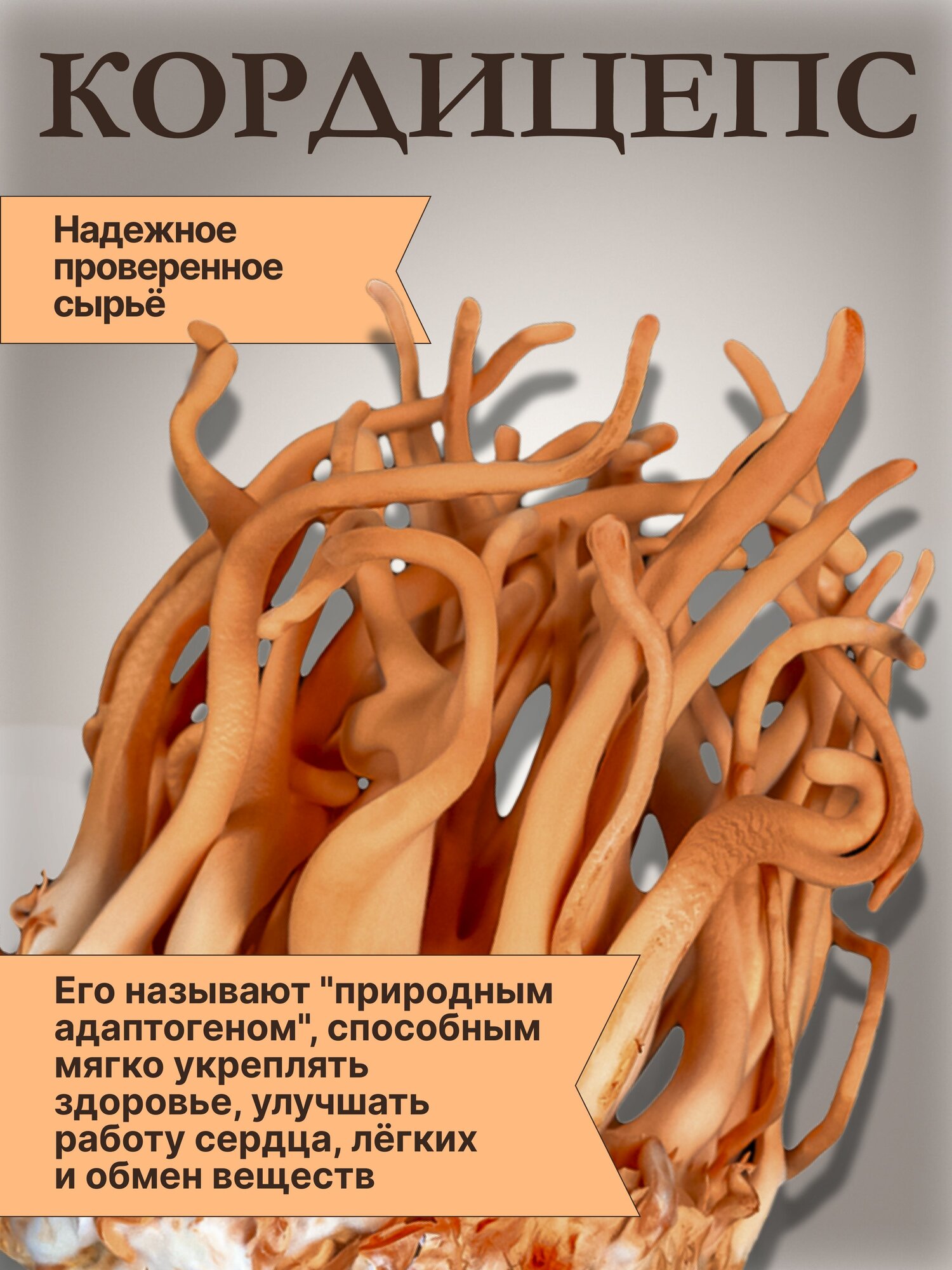 Шоколад с Кордицепс — фото 1