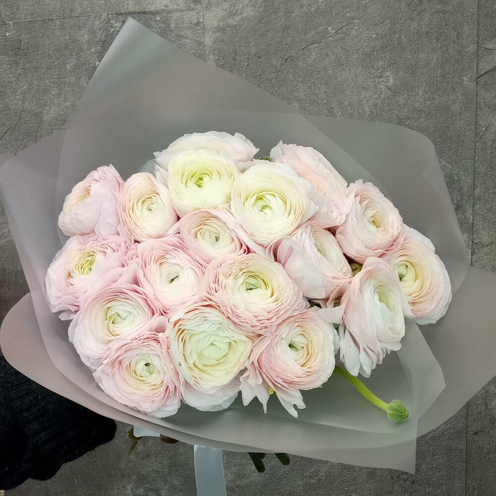 Изящный букет из 17 штук ранункулюсов