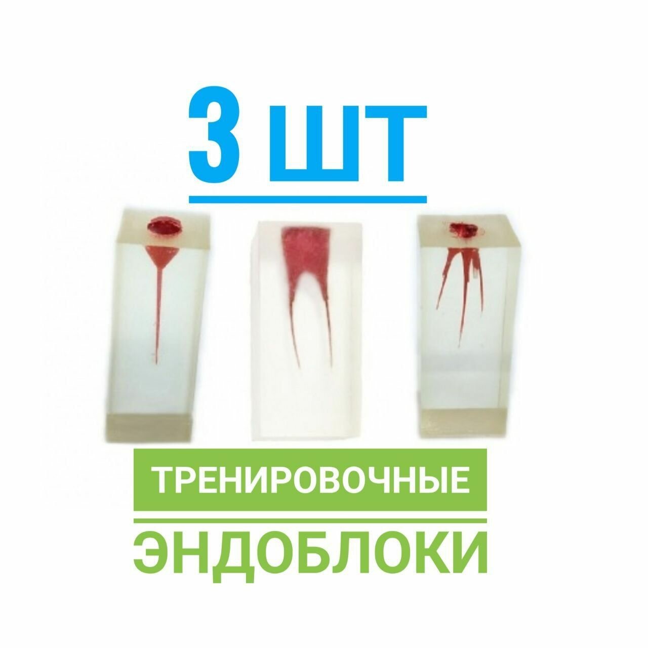 Эндоблоки : 3 шт , одноканальные , двухканальные , трехканальные . Прозрачные тренировочные блоки для обучения и закрепления эндодонтических навыков от Dentalrus