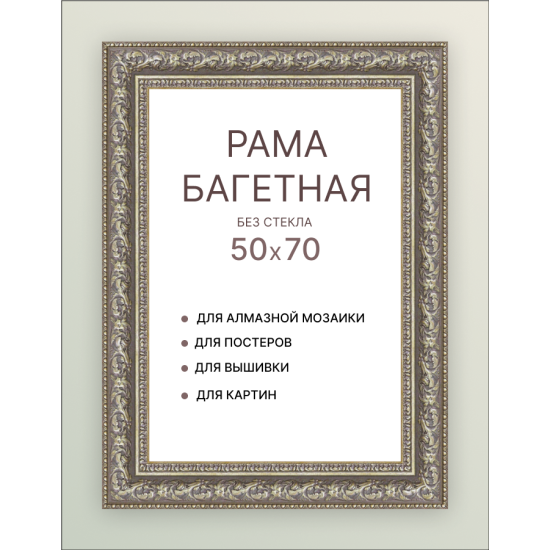 Багетная рама Декарт 50/70 8Л3602