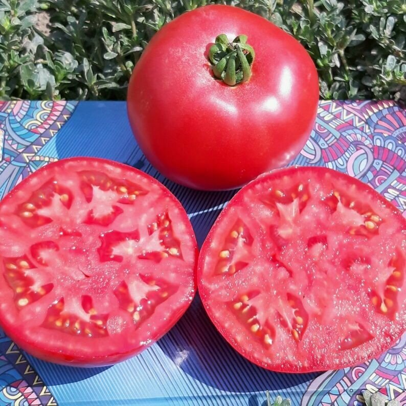 Томат Толстый Барин, салатный крупноплодный с насыщенным томатным вкусом и лёгкой кислинкой, малосемянной устойчивый к вирусу мозаики, 20 семян