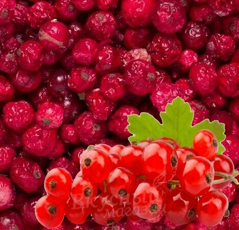 Смородина красная цельная сублимированная Organic Food, 50 гр. (Набор из 1 шт.)