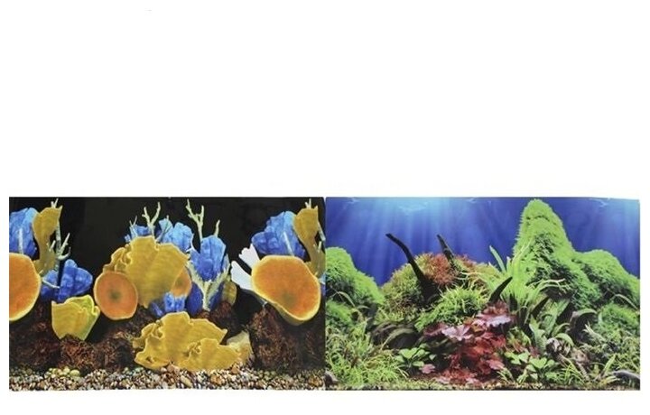 Фон для аквариума Prime Морские кораллы/Подводный мир 30х60см