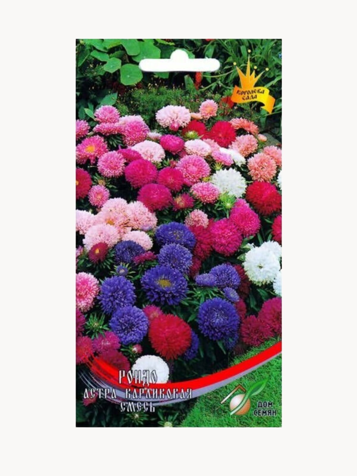 Астра карлик Рондо смесь, 100 семян